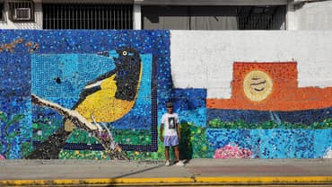 Venezuelan artist uses recycled bottle caps to create large eco-murals ...