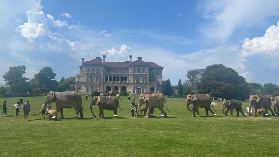 'The Great Elephant Migration' traveling exhibit imagines a world where ...