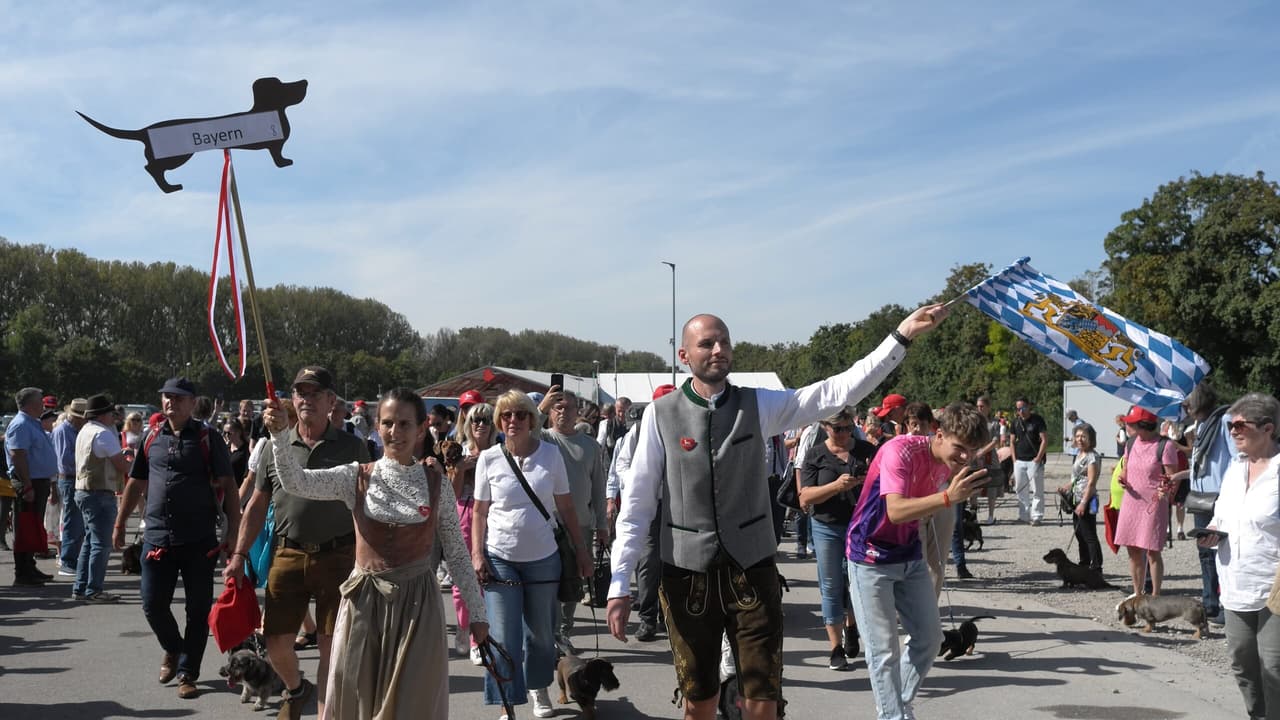 Cajuns are fiercely proud of their culture, but they're divided over ...